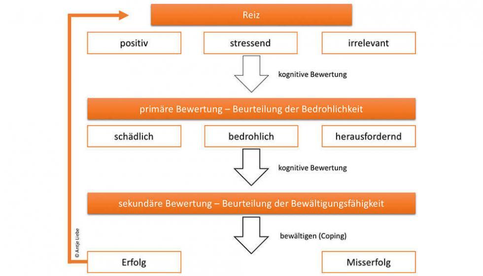 Das transaktionale Stressmodell nach Lazarus: Verständnis, Bewältigung und praktische Anwendung